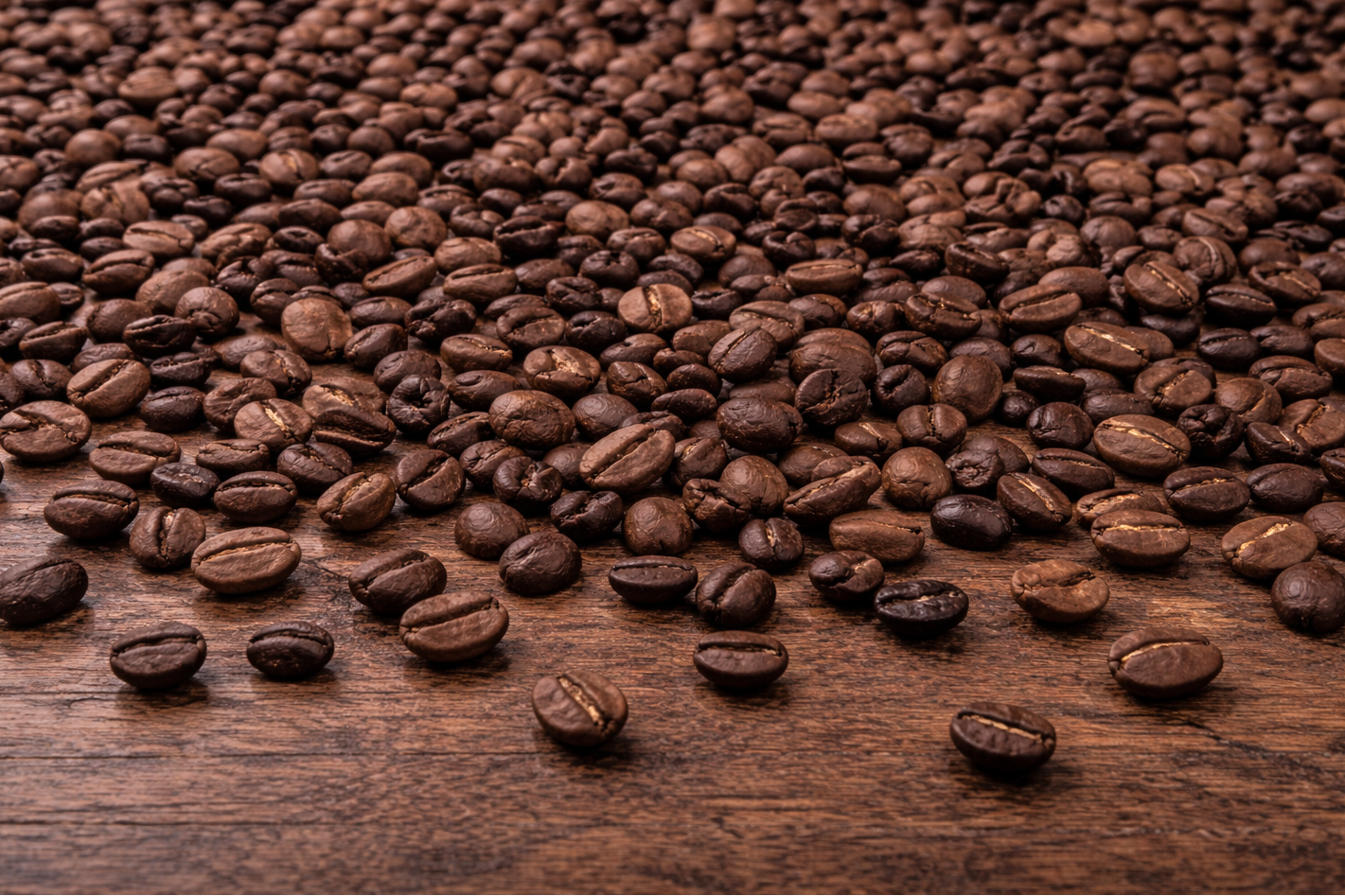 Arabica vs Robusta Coffee - Key Differences Explained – Bean Buster Coffee